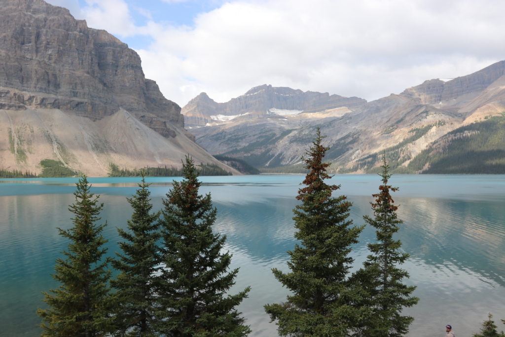 Banff Road Trip for the Family - Our NeverEnding Adventures